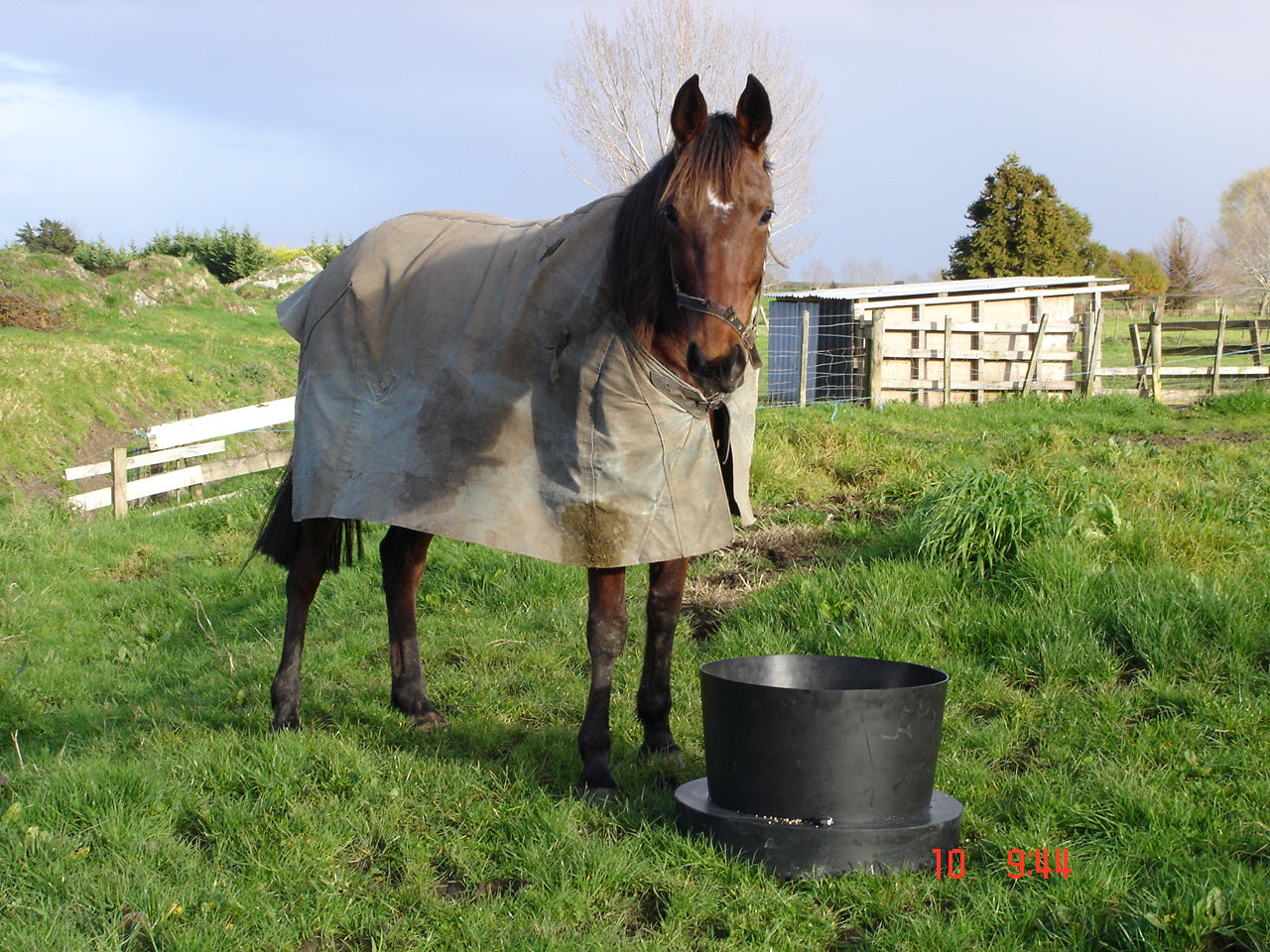 Water Troughs – ttplastics